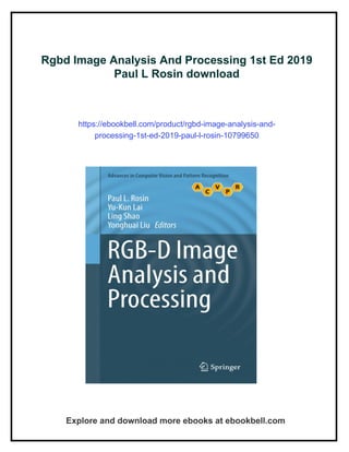 Rgbd Image Analysis And Processing 1st Ed 2019 Paul L Rosin | PDF