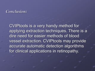 12539 Image Processing BV Extraction.ppt