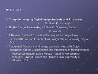12539 Image Processing BV Extraction.ppt