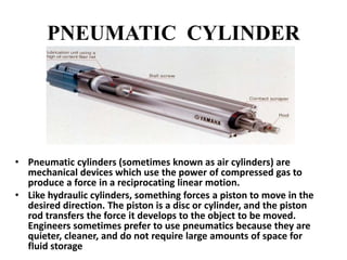 TRAINING REPORT | PPT