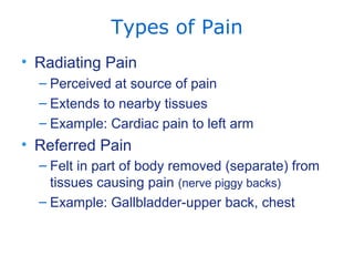 53 a focus 6 pain part 1 | PPT
