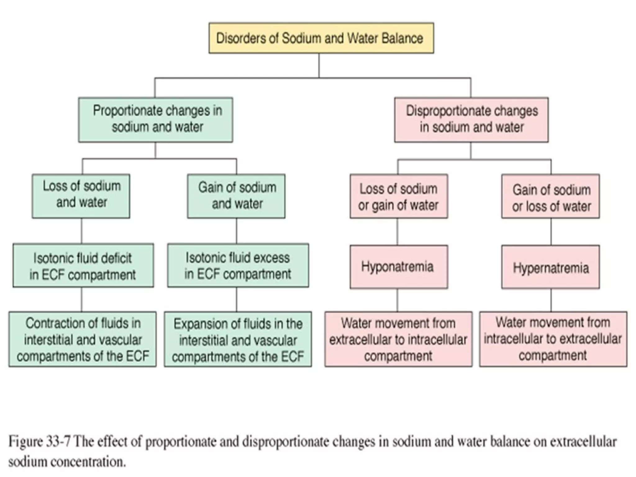 fluid, electrolytes, acid base balance | PPT
