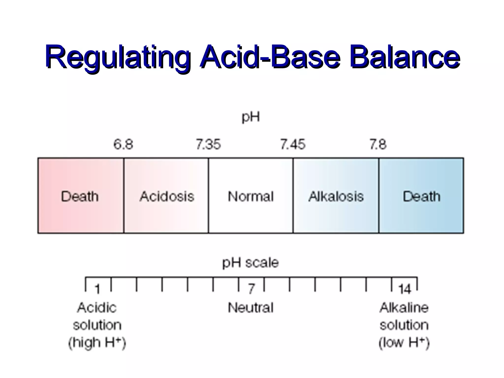 fluid, electrolytes, acid base balance | PPT