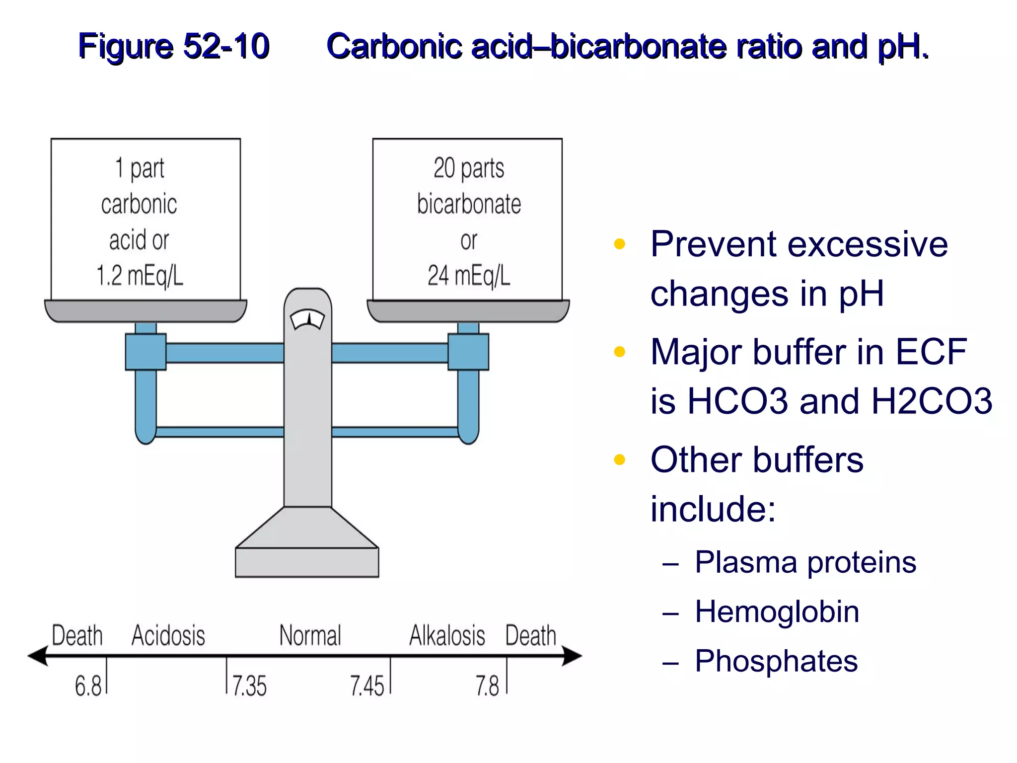 fluid, electrolytes, acid base balance | PPT