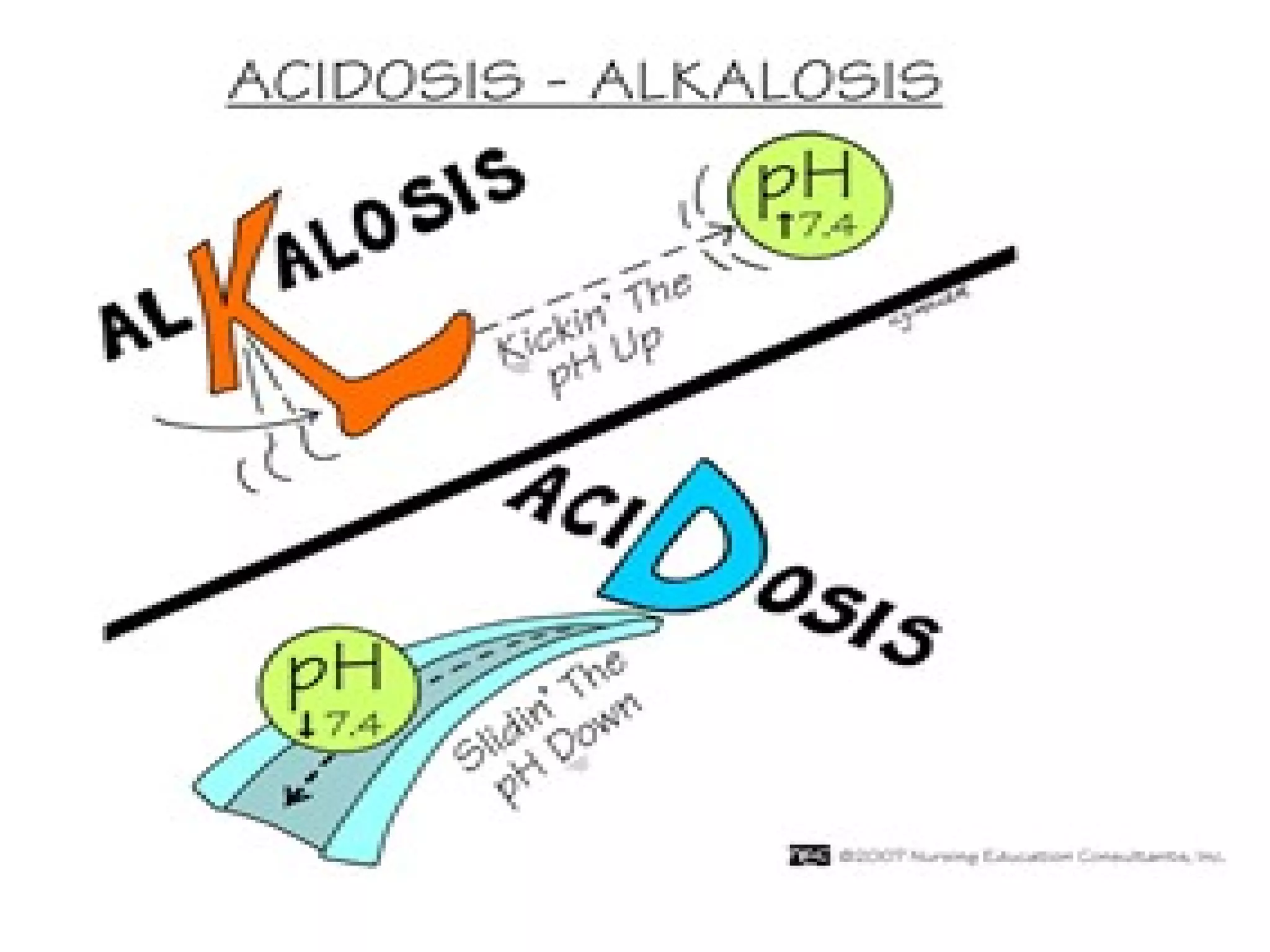 fluid, electrolytes, acid base balance | PPT