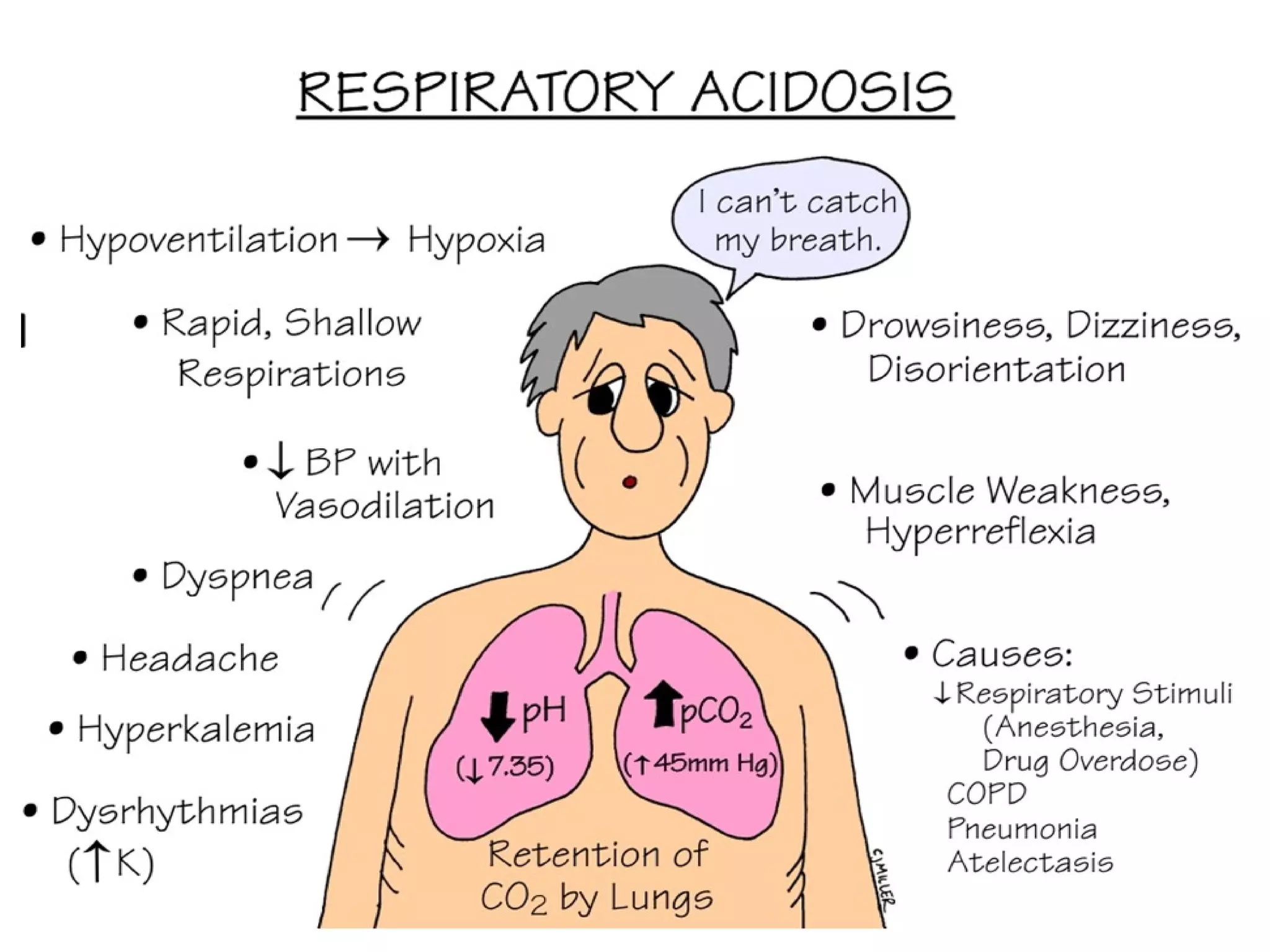 fluid, electrolytes, acid base balance | PPT