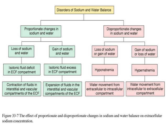 fluid, electrolytes, acid base balance | PPT