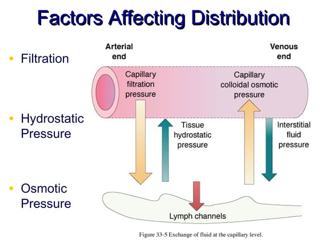 fluid, electrolytes, acid base balance | PPT