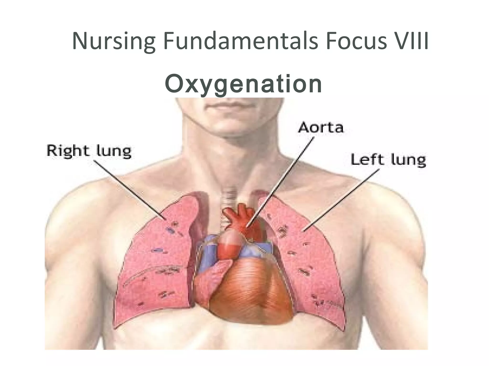 nursing - oxygenation | PPT