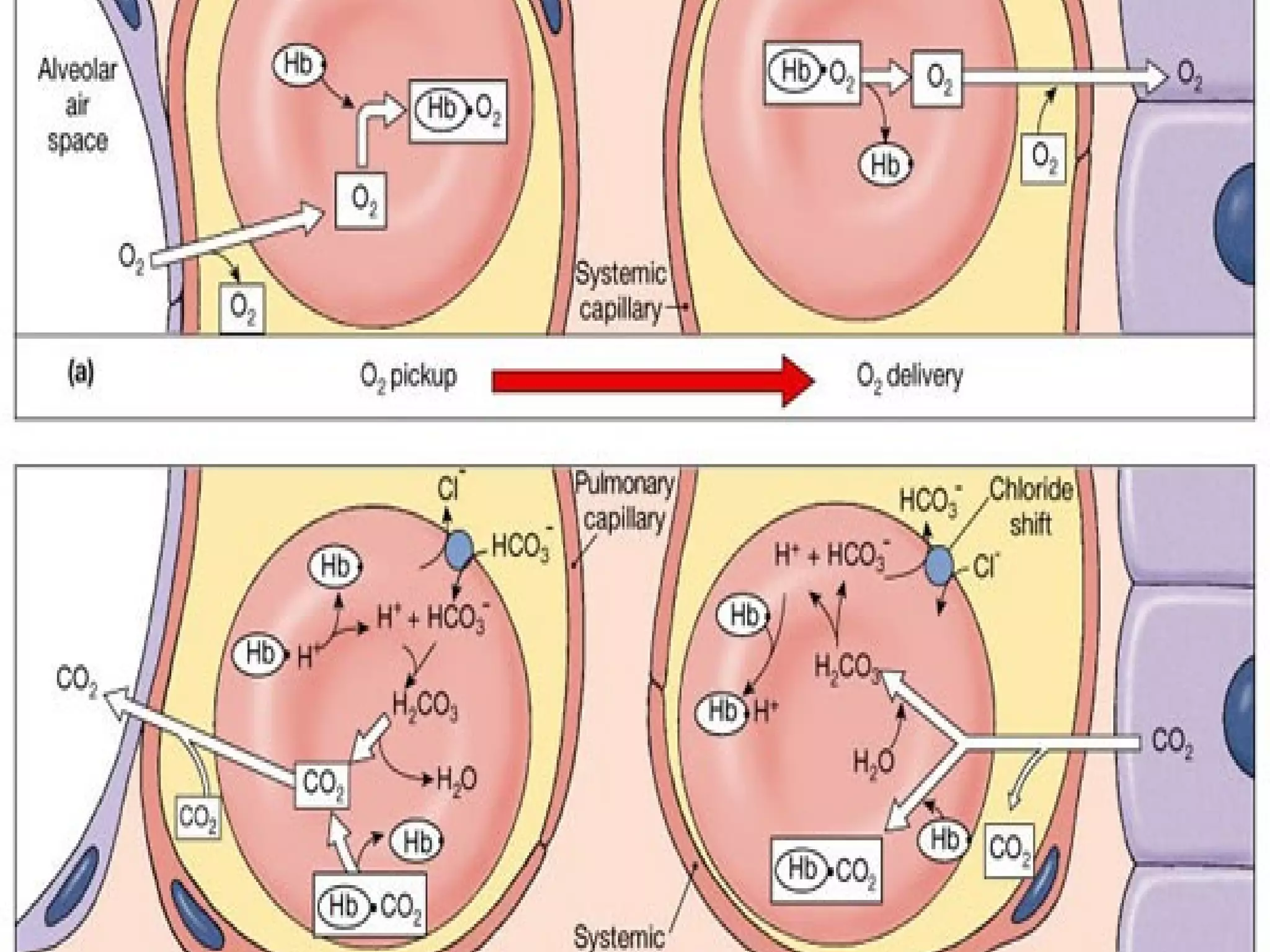 nursing - oxygenation | PPT