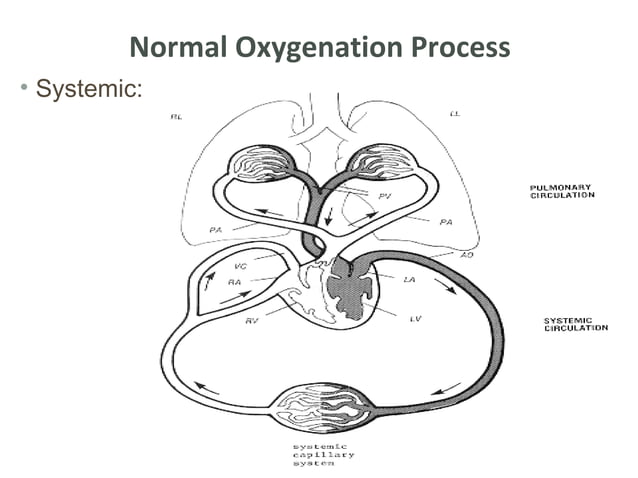 nursing - oxygenation | PPT
