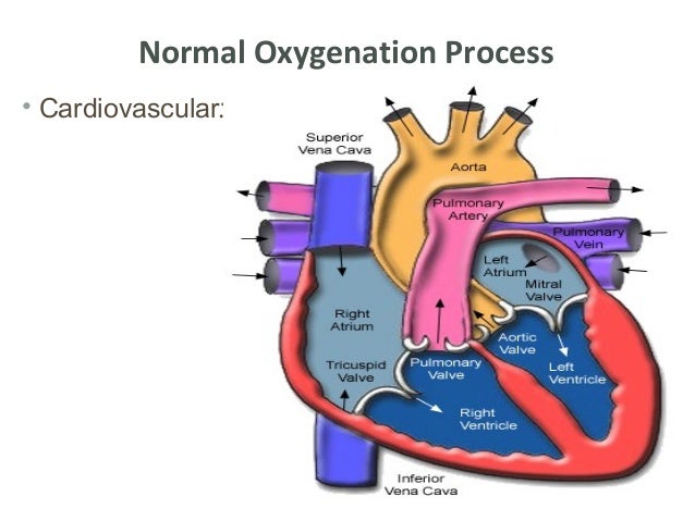 nursing - oxygenation