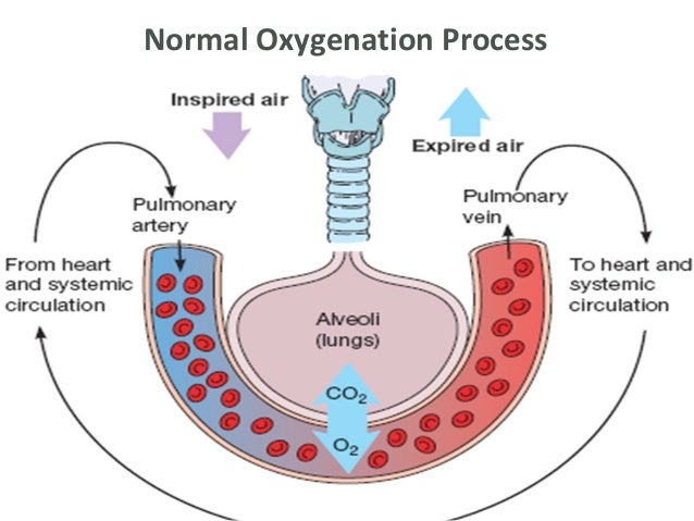 53 a focus 8 oxygenation
