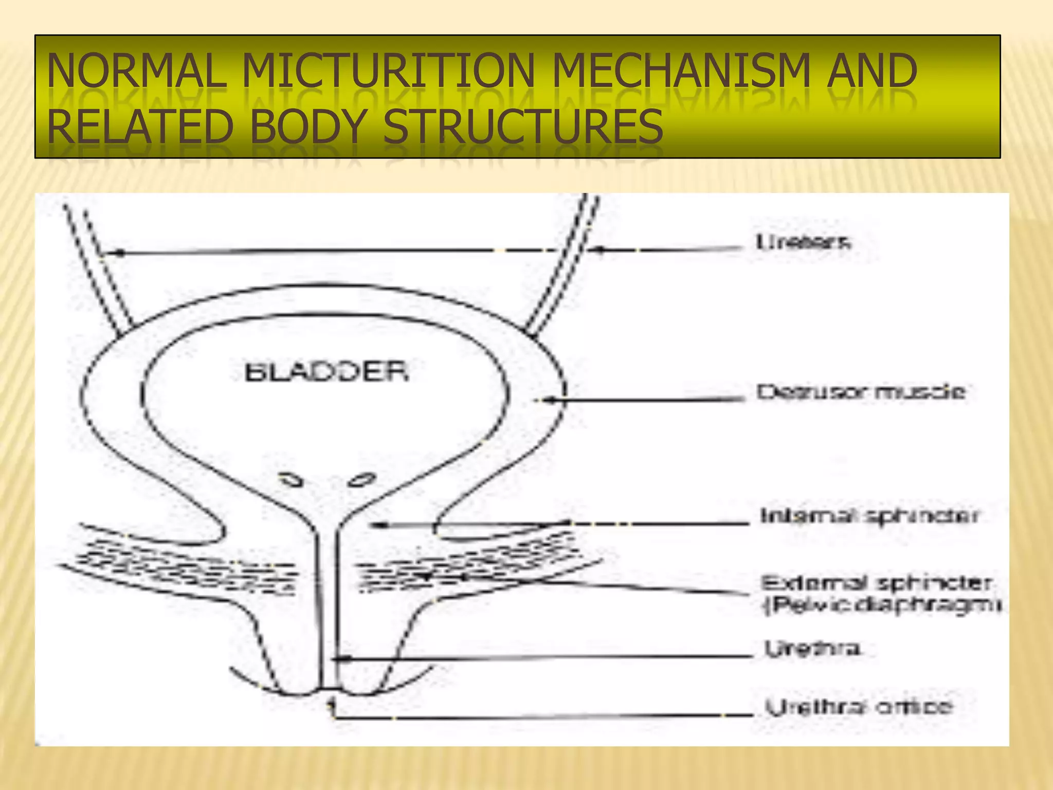 elimination, nursing | PPTX