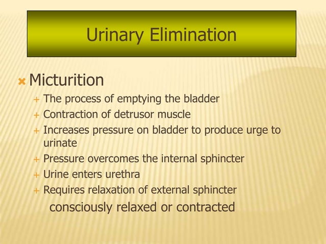 elimination, nursing | PPTX | Digestive Disorders | Diseases and Conditions