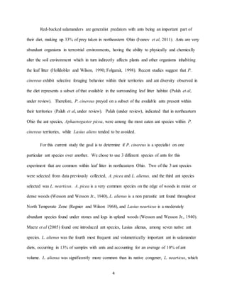 Spies - Selective foraging by Eastern Red-backed Salamanders (Plethodon cinereus) between 3 ant ...