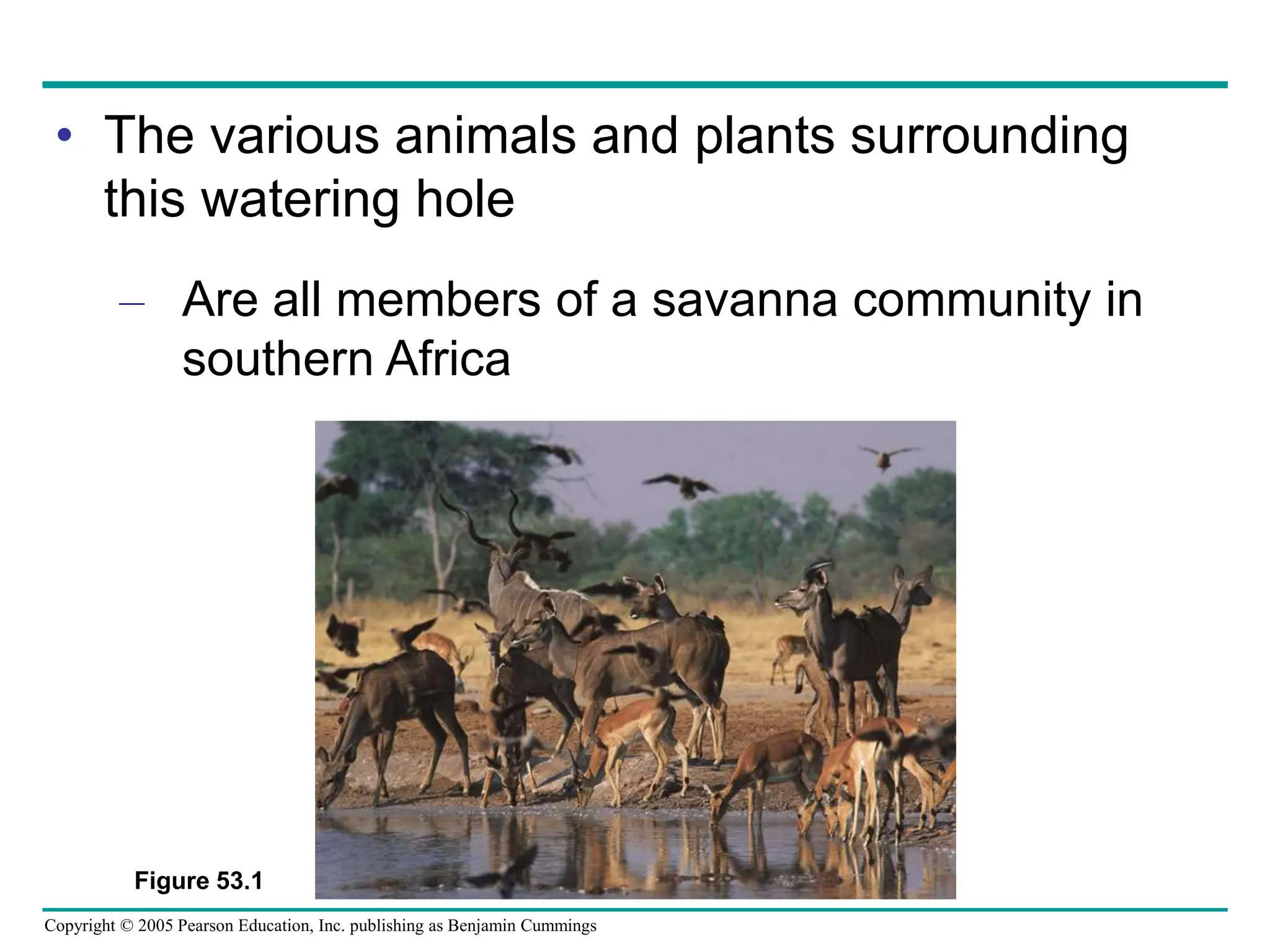 53_COMMUNITY_ECOLOGY_ppt.ppt