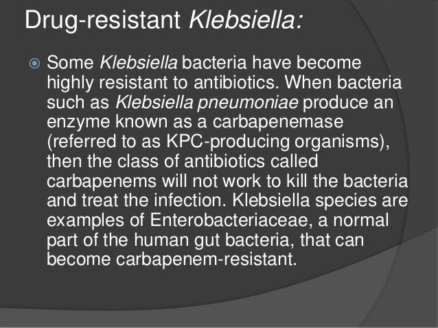 KLEBSIELLA
