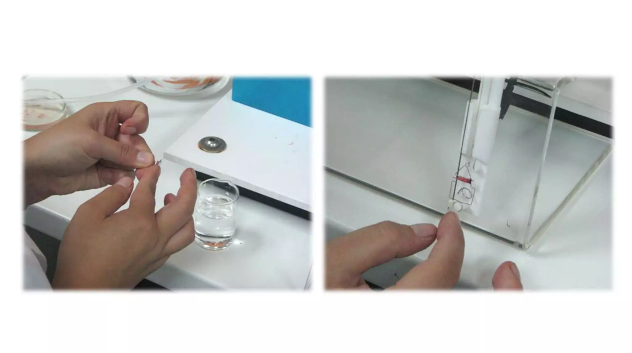 Experiments on isolated vascular rings | PPTX