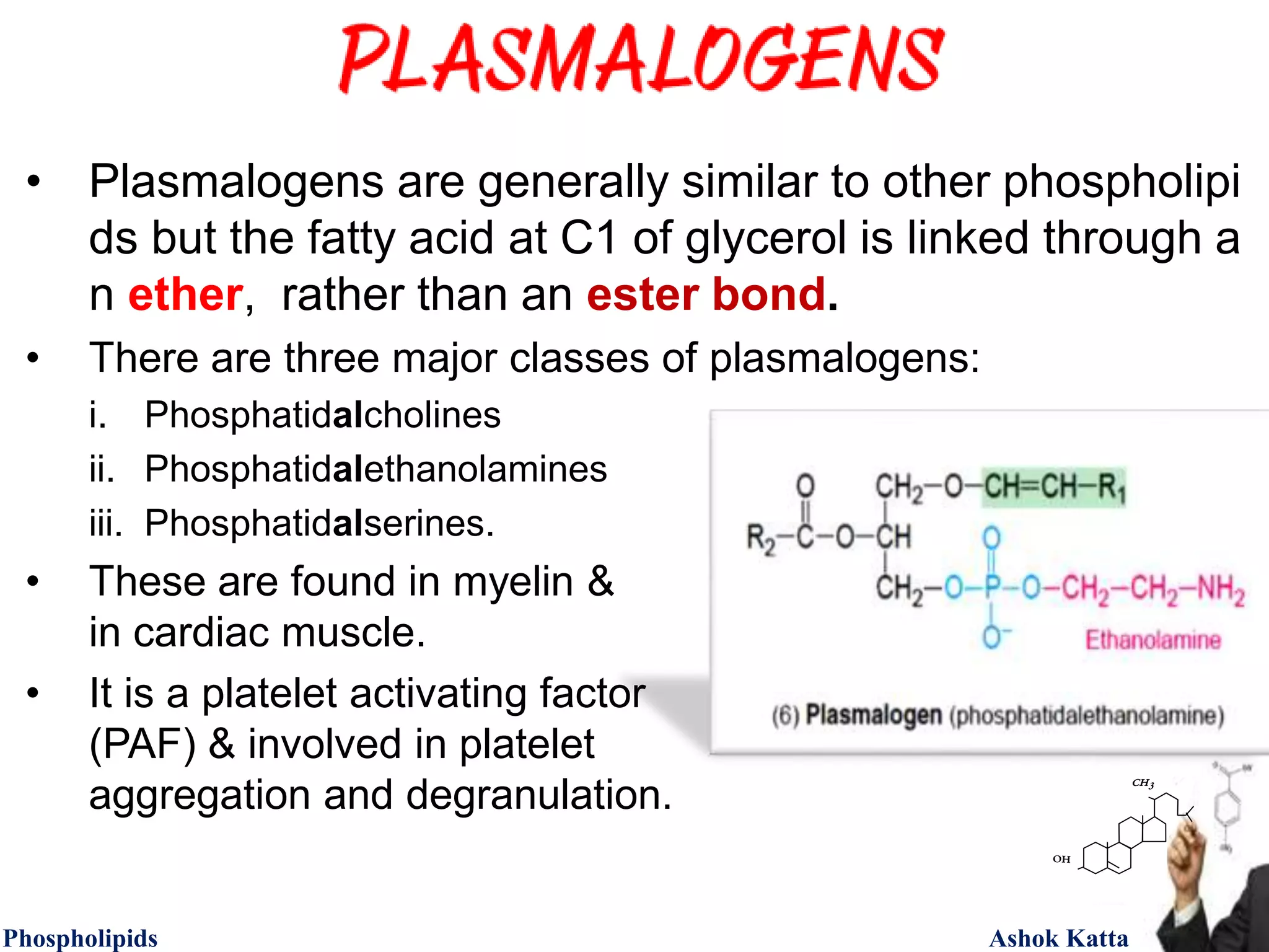 Complex Lipids (Phosholipids, Glycolipids and Lipoproteins) (Chemistry ...