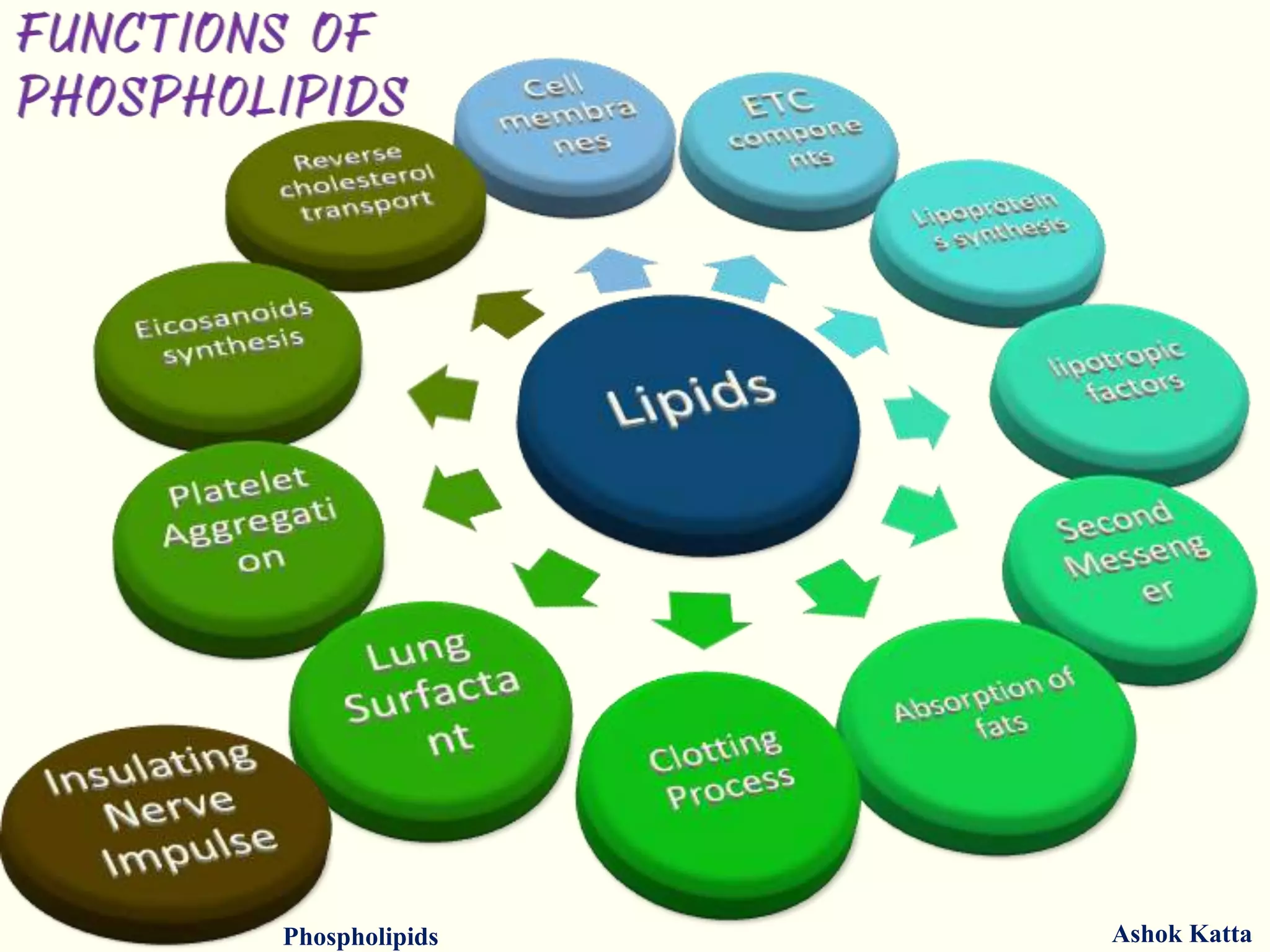 Complex Lipids (Phosholipids, Glycolipids and Lipoproteins) (Chemistry ...