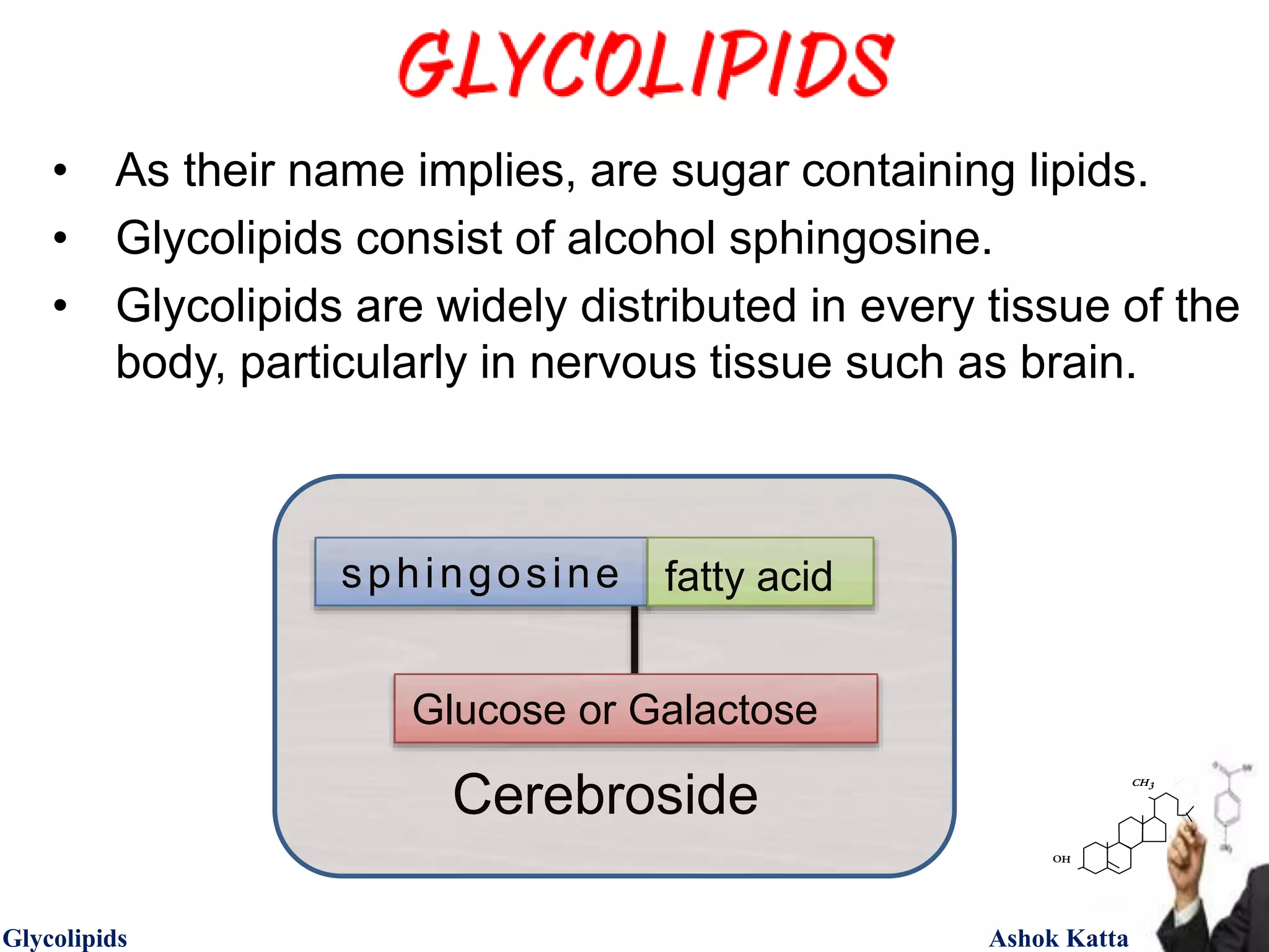 Complex Lipids (Phosholipids, Glycolipids and Lipoproteins) (Chemistry ...