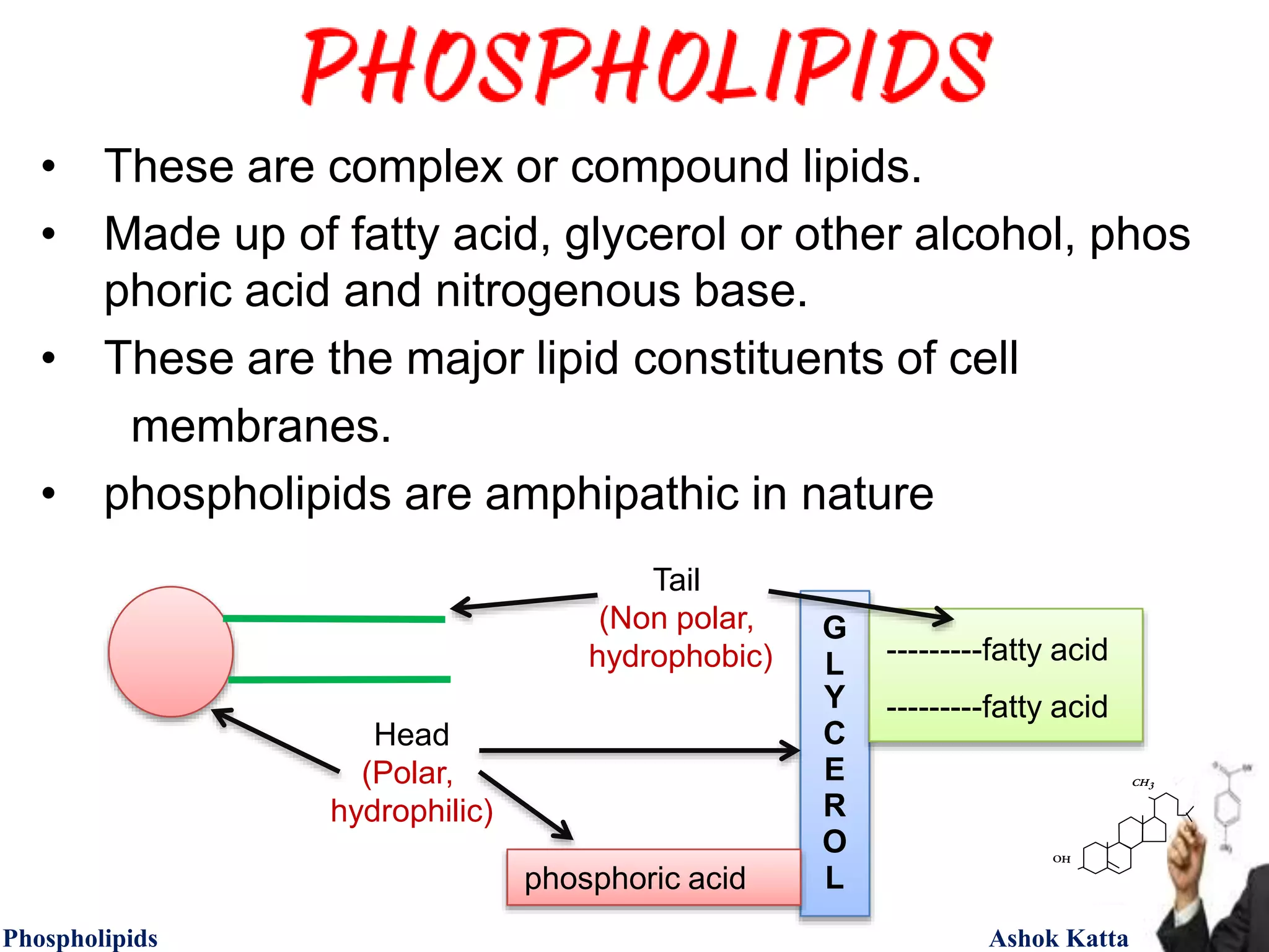 Complex Lipids (Phosholipids, Glycolipids and Lipoproteins) (Chemistry of Lipids - IV) | PPSX