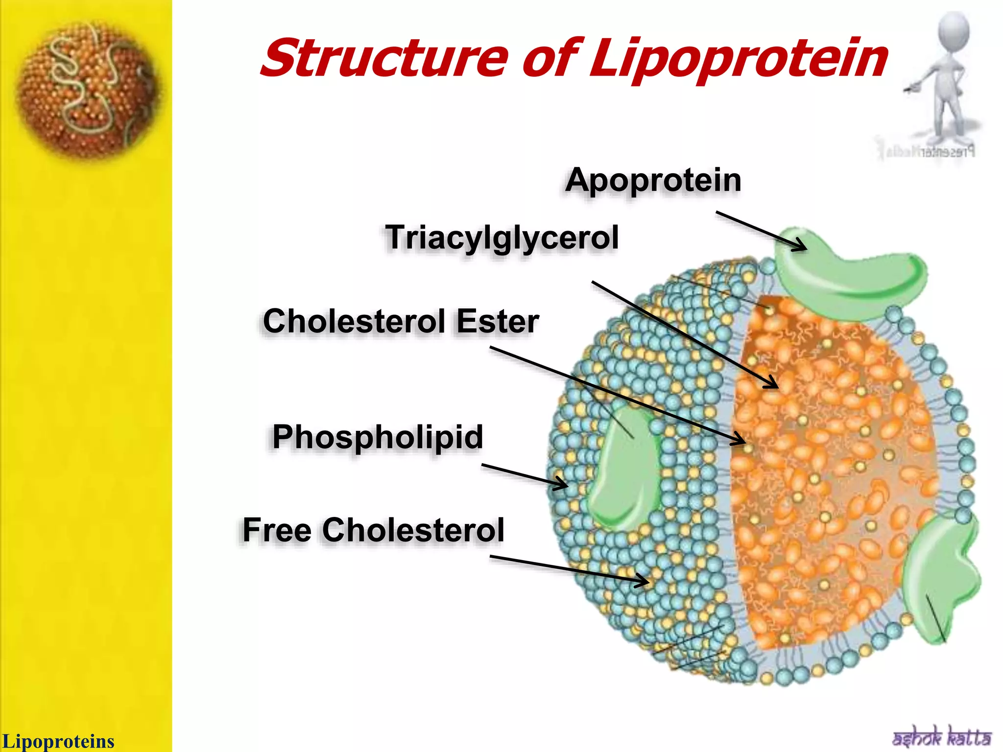 Complex Lipids (Phosholipids, Glycolipids and Lipoproteins) (Chemistry ...
