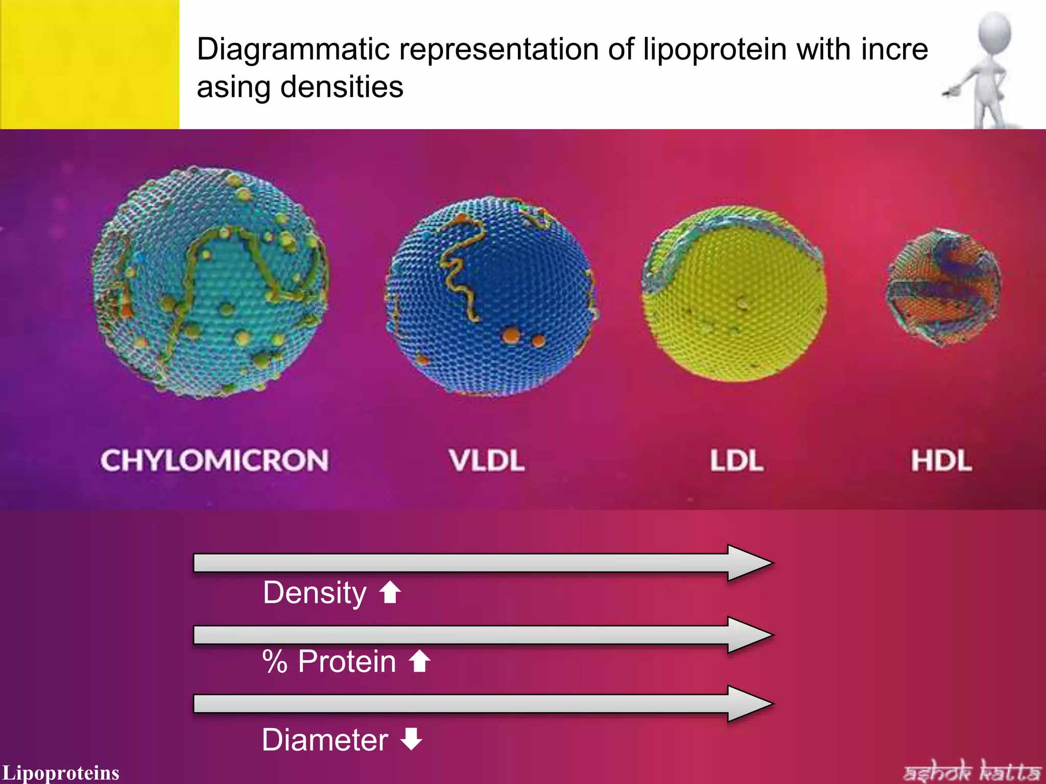 Complex Lipids (Phosholipids, Glycolipids and Lipoproteins) (Chemistry ...