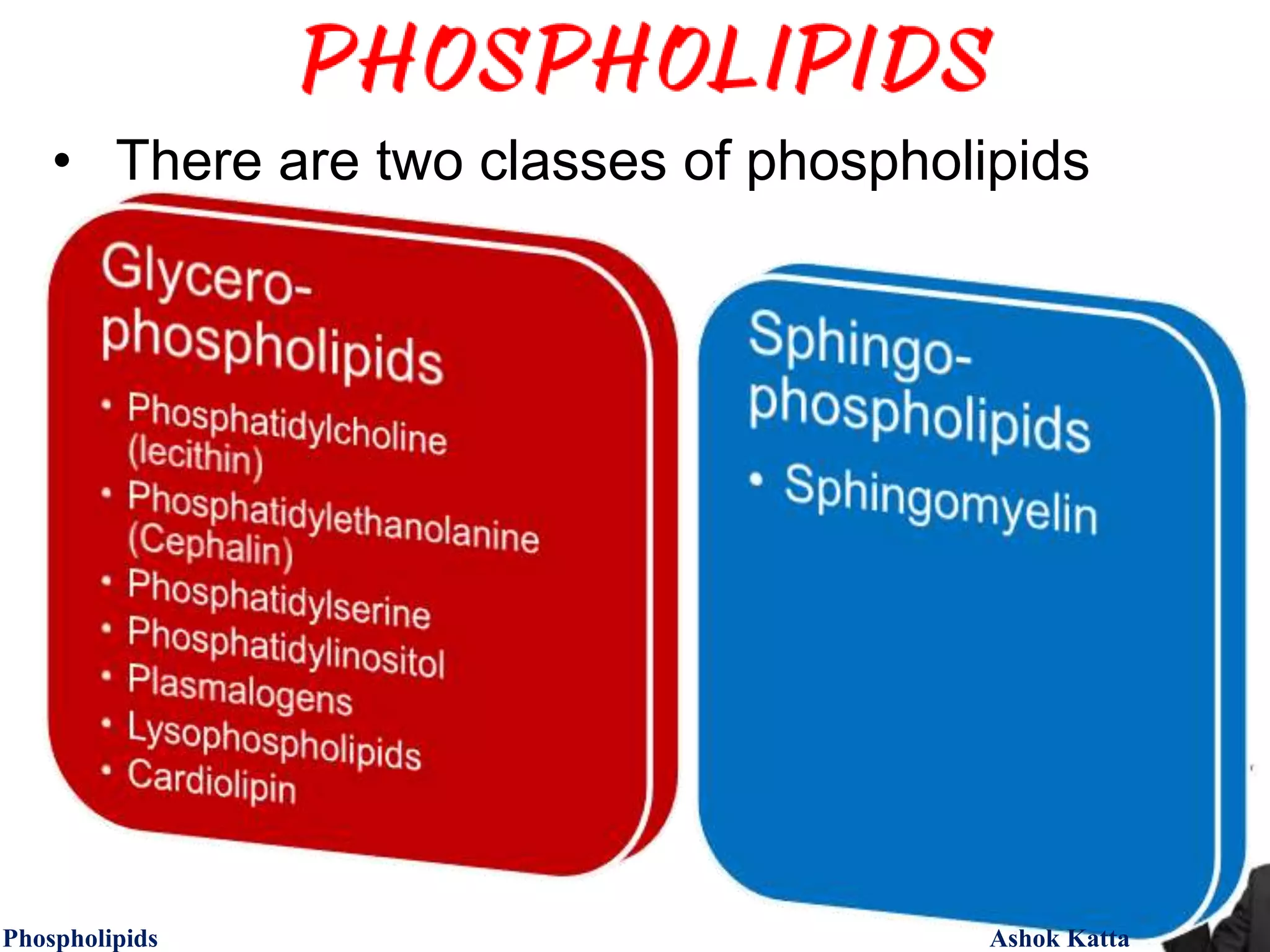 Complex Lipids (Phosholipids, Glycolipids and Lipoproteins) (Chemistry ...