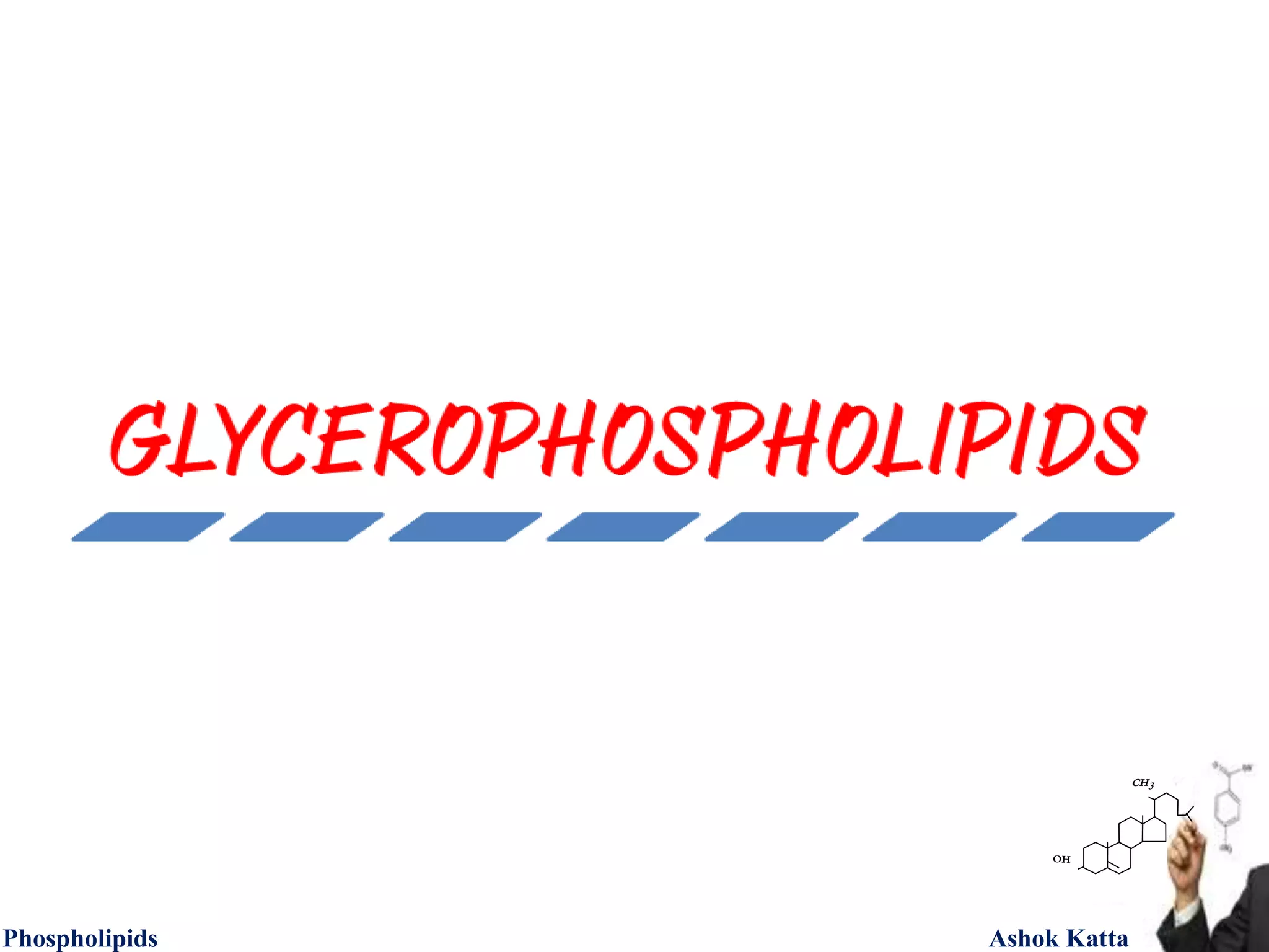Complex Lipids (Phosholipids, Glycolipids and Lipoproteins) (Chemistry ...