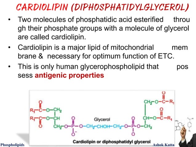 Complex Lipids (Phosholipids, Glycolipids and Lipoproteins) (Chemistry ...