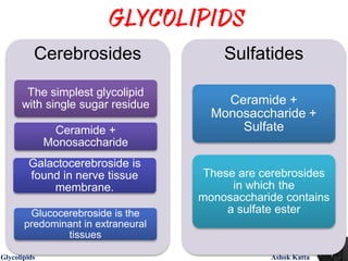 Complex Lipids (Phosholipids, Glycolipids and Lipoproteins) (Chemistry ...