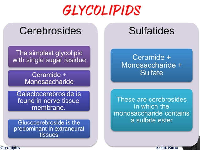 Complex Lipids (Phosholipids, Glycolipids and Lipoproteins) (Chemistry ...
