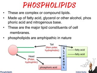 Complex Lipids (Phosholipids, Glycolipids and Lipoproteins) (Chemistry of Lipids - IV) | PPSX
