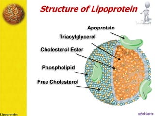 Complex Lipids (Phosholipids, Glycolipids and Lipoproteins) (Chemistry ...
