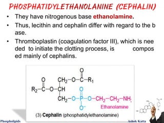 Complex Lipids (Phosholipids, Glycolipids and Lipoproteins) (Chemistry ...