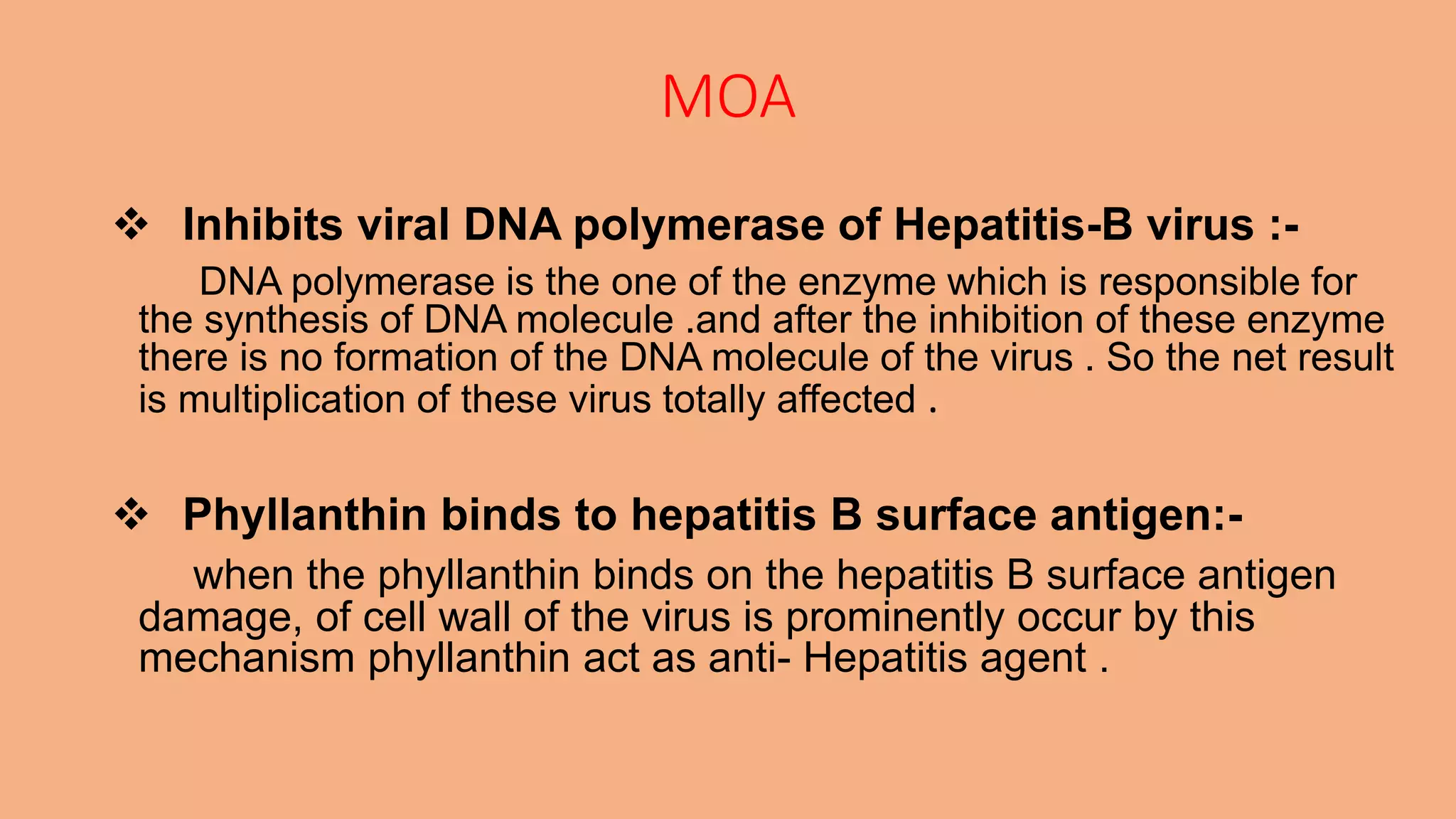 PHYLLANTHUS NIRURI IN LIVER DISFUNCTION | PPTX