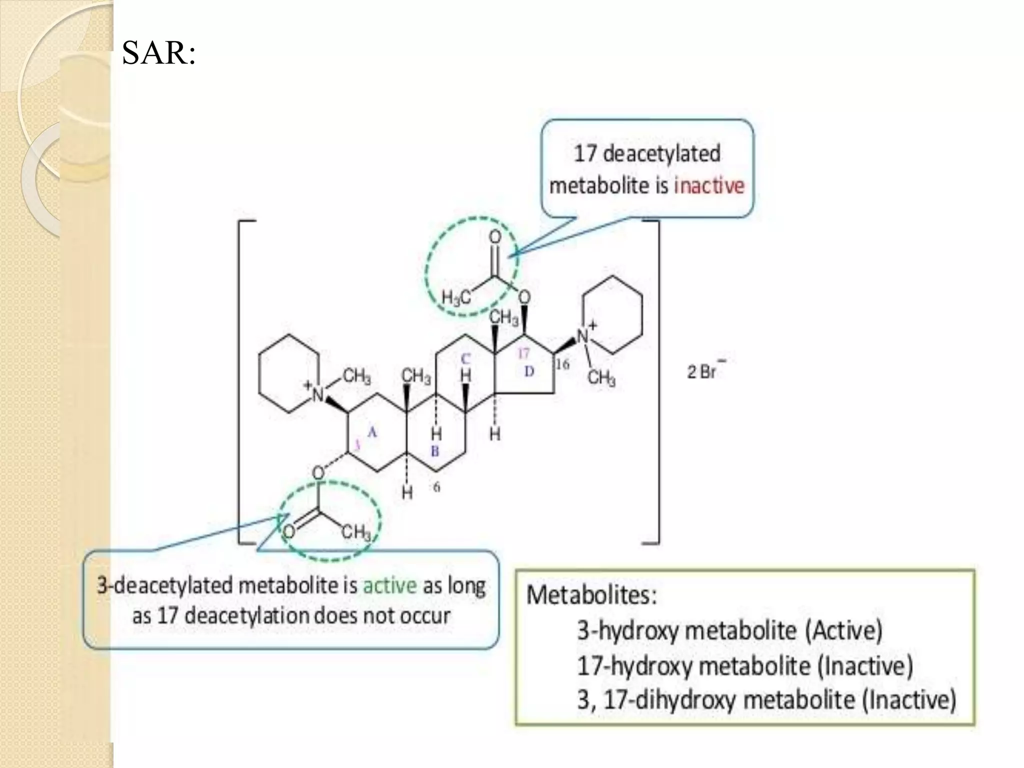 NEUROMUSCULAR BLOCKING DRUGS [CURARE ALKALOIDS] | PPTX