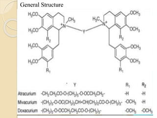 NEUROMUSCULAR BLOCKING DRUGS [CURARE ALKALOIDS] | PPTX