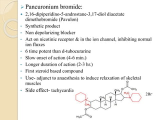 NEUROMUSCULAR BLOCKING DRUGS [CURARE ALKALOIDS] | PPTX
