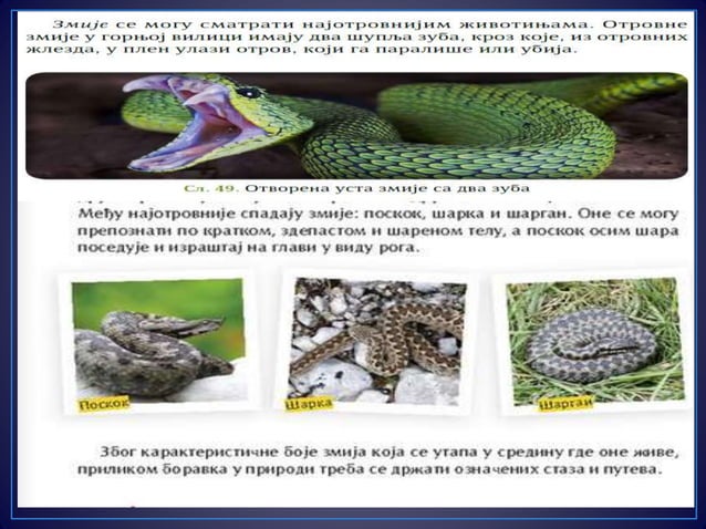 54. GAJENJE ZIVOTINJA I ZNACAJ ZIVOTINJA ZA ČOVEKA.pptx