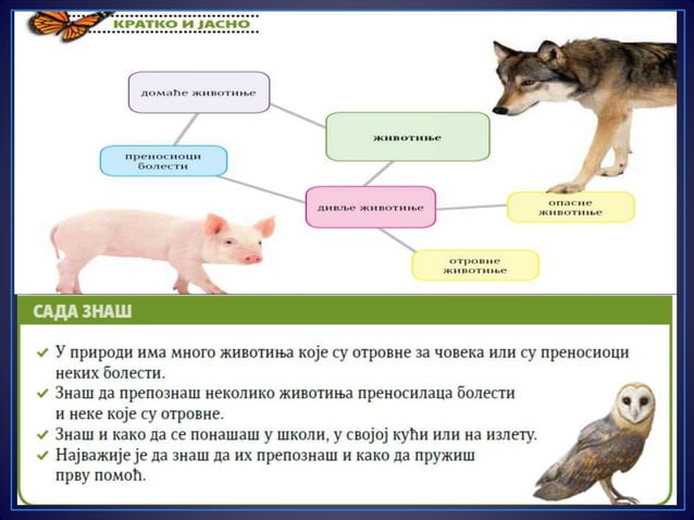 54. GAJENJE ZIVOTINJA I ZNACAJ ZIVOTINJA ZA ČOVEKA.pptx