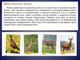54. GAJENJE ZIVOTINJA I ZNACAJ ZIVOTINJA ZA ČOVEKA.pptx