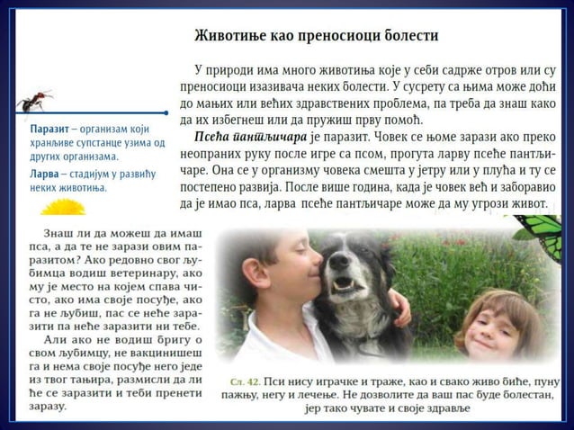 54. GAJENJE ZIVOTINJA I ZNACAJ ZIVOTINJA ZA ČOVEKA.pptx