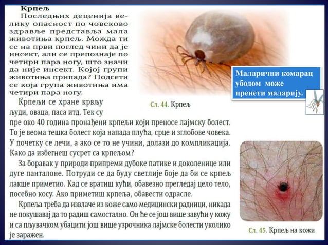54. GAJENJE ZIVOTINJA I ZNACAJ ZIVOTINJA ZA ČOVEKA.pptx