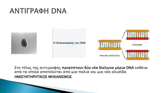 5,4 Κυτταρικη διαιρεση μιτωση μειωση.pptx