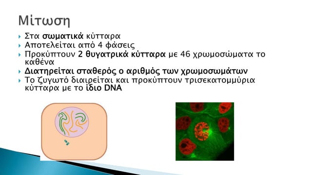 5,4 Κυτταρικη διαιρεση μιτωση μειωση.pptx
