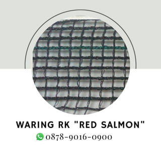 Waring Red Salmon | PDF