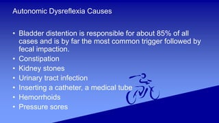 54.AUTONOMIC DYSREFLEXIA SUNDUS KALAM KHAN.pptx | Physical Therapy ...